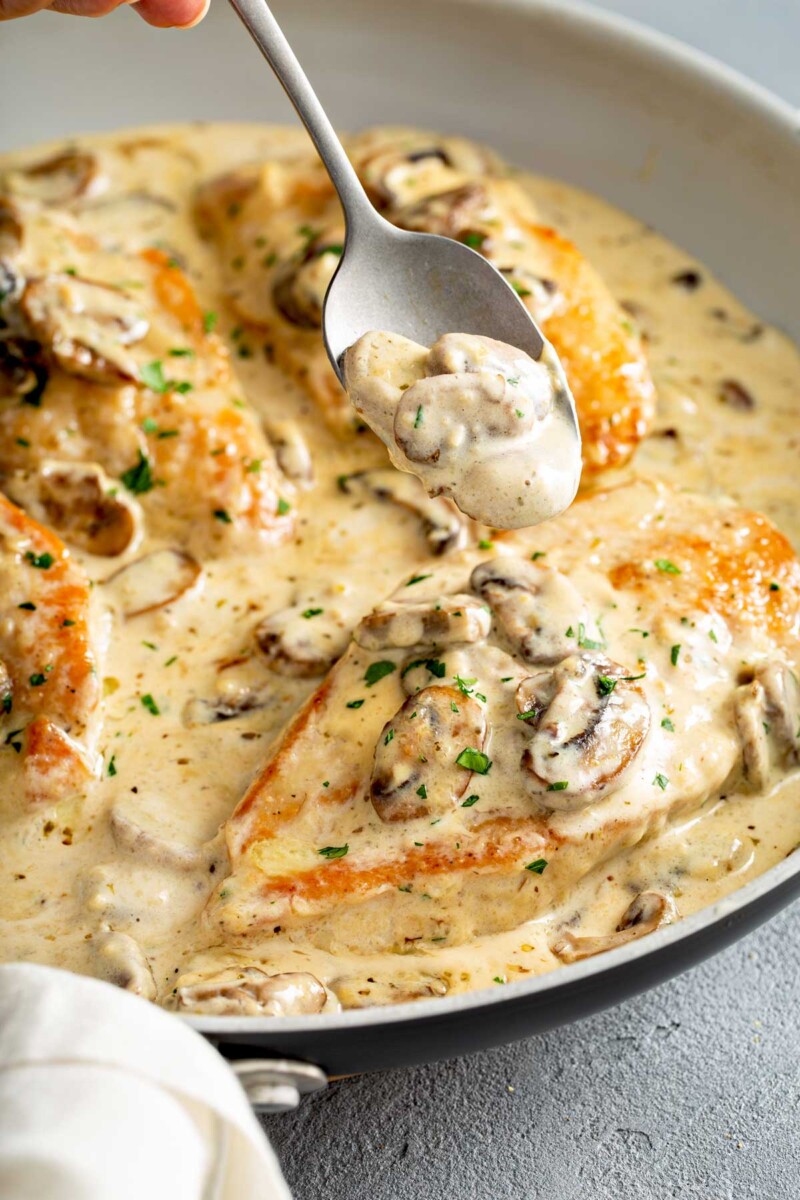 Creamy Chicken Mushroom Recipe - Lemon Blossoms