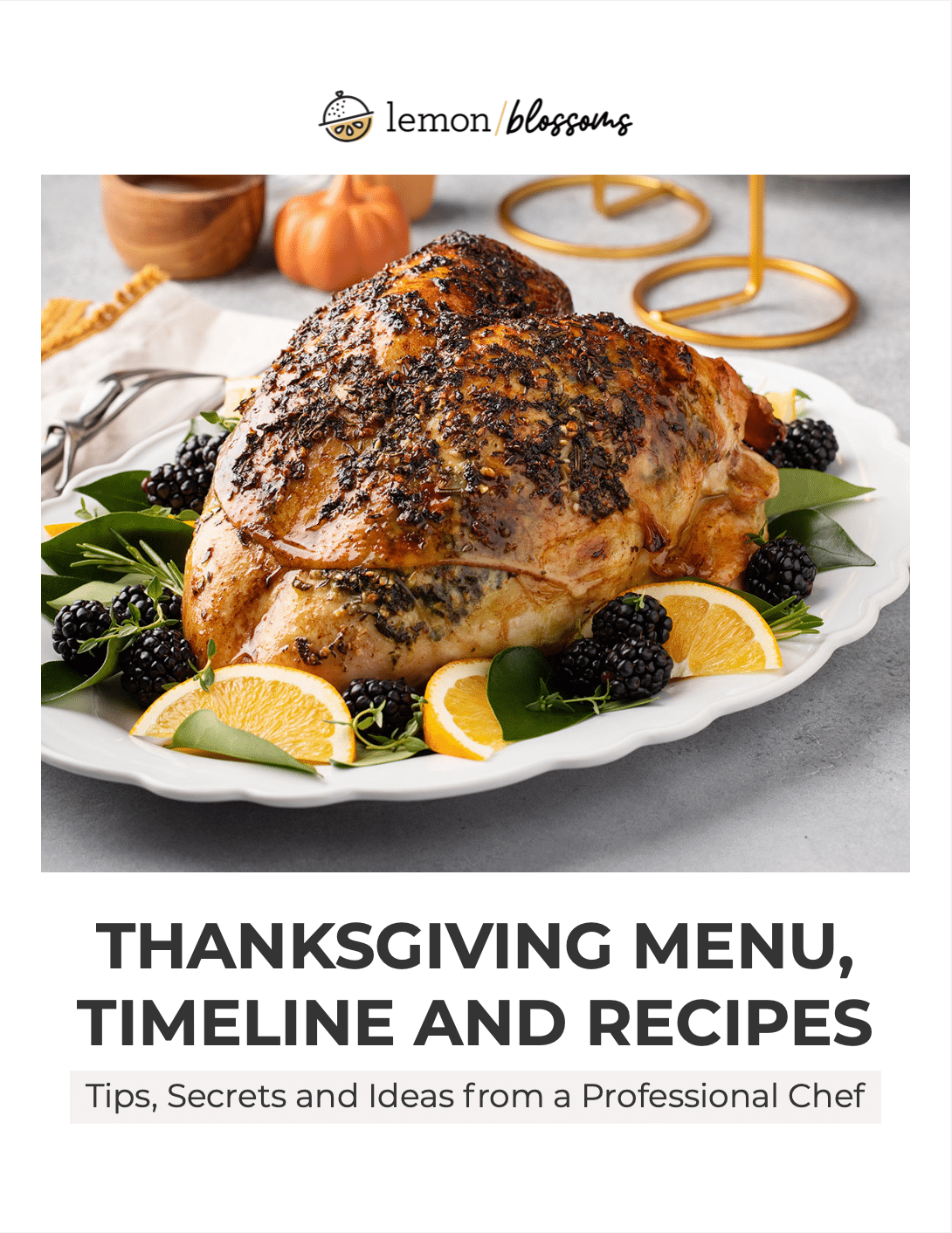 Turkey Pot Pie with Biscuit Topping - Lemon Blossoms