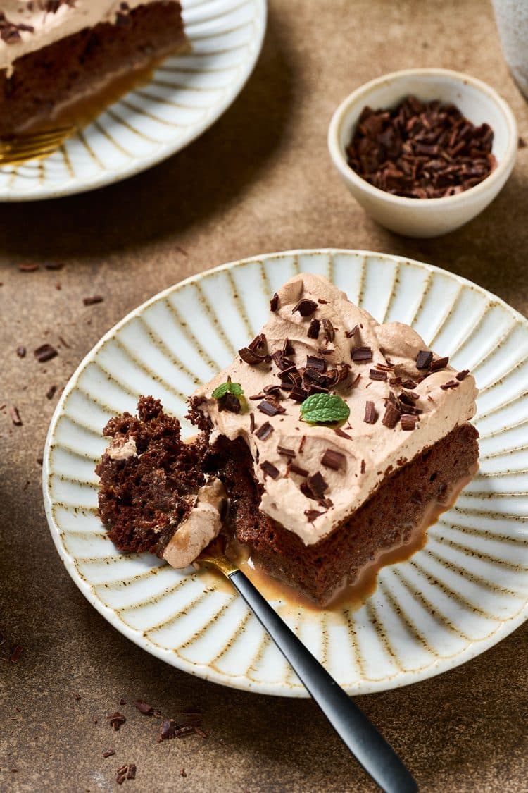 Easy Chocolate Tres Leches Cake - Lemon Blossoms