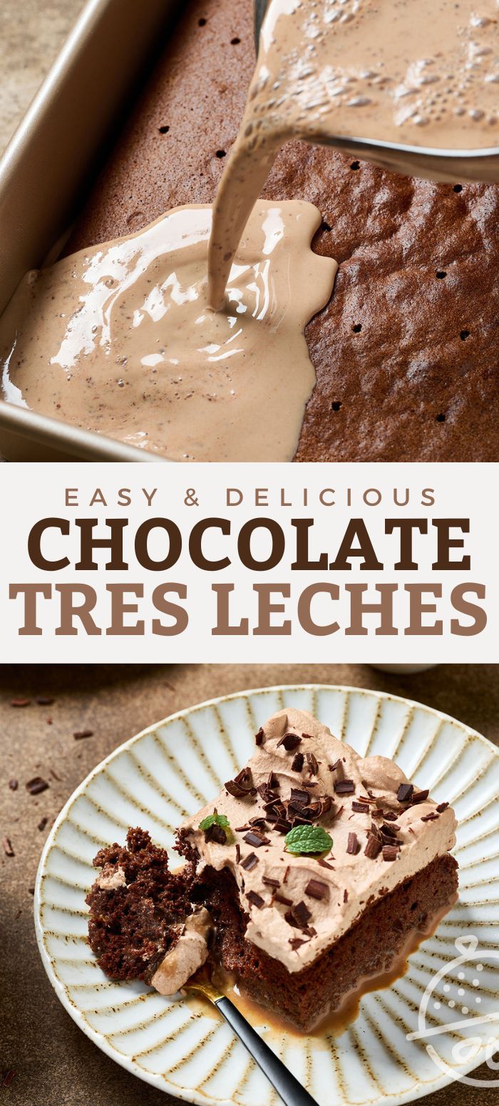 Easy Chocolate Tres Leches Cake - Lemon Blossoms